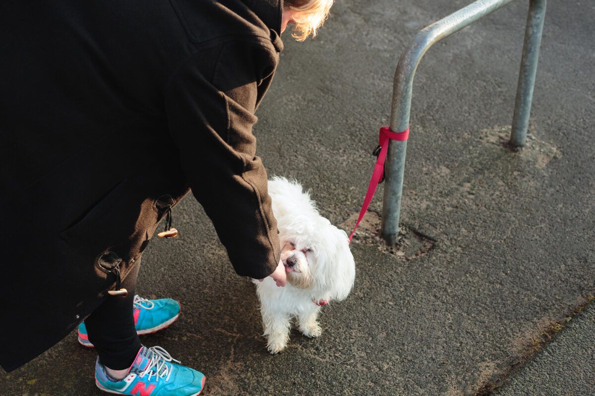 Raise a complaint – Dimensions